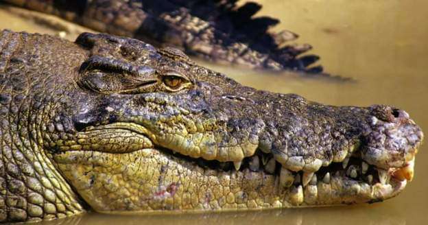 Nin kalluumeysato ahaa oo meydkiisa laga dhex helay yaxaas liqay